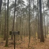 Mount Toby Trail, Massachusetts - 1,021 Reviews, Map | AllTrails