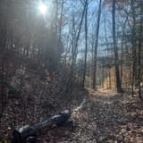Mount Toby Trail, Massachusetts - 946 Reviews, Map | AllTrails