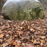 Mount Toby Trail, Massachusetts - 946 Reviews, Map | AllTrails