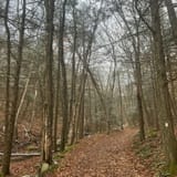 Mount Toby Trail, Massachusetts - 979 Reviews, Map | AllTrails