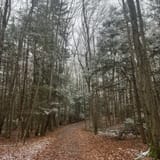 Mount Toby Trail, Massachusetts - 979 Reviews, Map | AllTrails