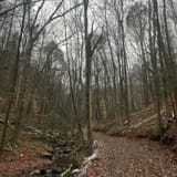 Mount Toby Trail, Massachusetts - 979 Reviews, Map | AllTrails