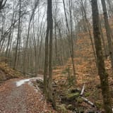 Mount Toby Trail, Massachusetts - 979 Reviews, Map | AllTrails