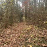 Mount Toby Trail, Massachusetts - 1,021 Reviews, Map | AllTrails