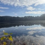 Mount Toby Trail, Massachusetts - 1,021 Reviews, Map | AllTrails