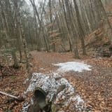 Mount Toby Trail, Massachusetts - 979 Reviews, Map | AllTrails