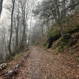 Mount Toby Trail, Massachusetts - 979 Reviews, Map | AllTrails