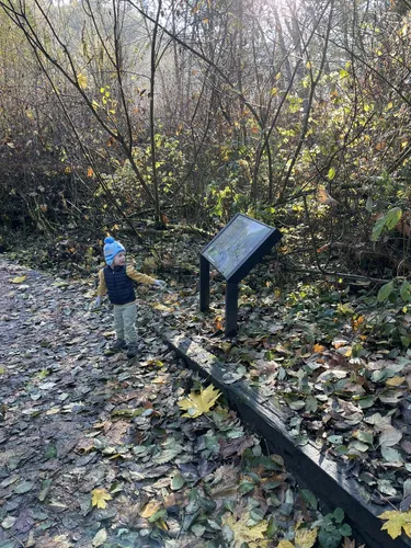 Best Hikes and Trails in Howarth Park | AllTrails