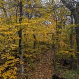 Spruce Hill via Hoosac Range Trail, Massachusetts - 540 Reviews, Map ...