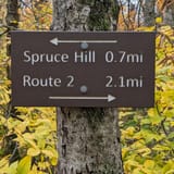 Spruce Hill via Hoosac Range Trail, Massachusetts - 559 Reviews, Map ...