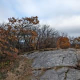 Spruce Hill via Hoosac Range Trail, Massachusetts - 559 Reviews, Map ...