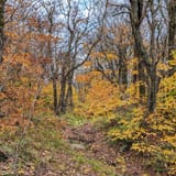 Spruce Hill via Hoosac Range Trail, Massachusetts - 585 Reviews, Map ...