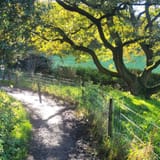 Raw Head Circular, Cheshire, England - 350 Reviews, Map | AllTrails