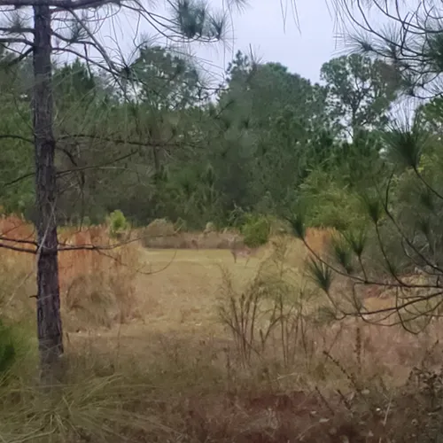 Best Hikes and Trails in Hilochee Wildlife Management Area | AllTrails