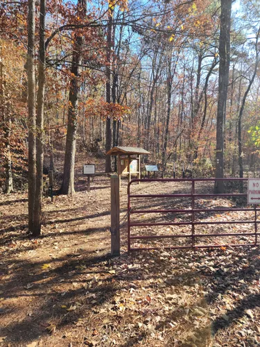 Best Walking Trails in Chelsea | AllTrails
