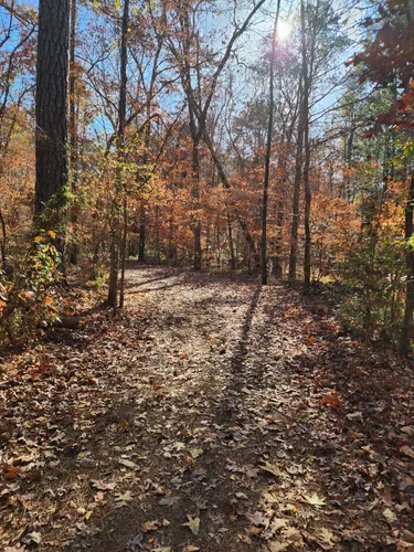 10 Best Easy Trails in Oak Mountain State Park | AllTrails