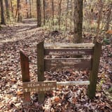 Kings Chair Loop, Alabama - 1,777 Reviews, Map | AllTrails