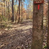 Kings Chair Loop, Alabama - 1,777 Reviews, Map | AllTrails
