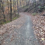 Kings Chair Loop, Alabama - 1,777 Reviews, Map | AllTrails