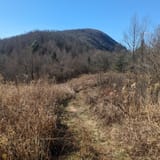 Lost Cove Trail, North Carolina - 196 Reviews, Map | AllTrails
