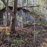 Lost Cove Trail, North Carolina - 212 Reviews, Map | AllTrails