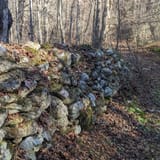 Lost Cove Trail, North Carolina - 212 Reviews, Map | AllTrails