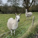 New Mills and the Torrs Millenium Walkway via Goytside Meadows ...
