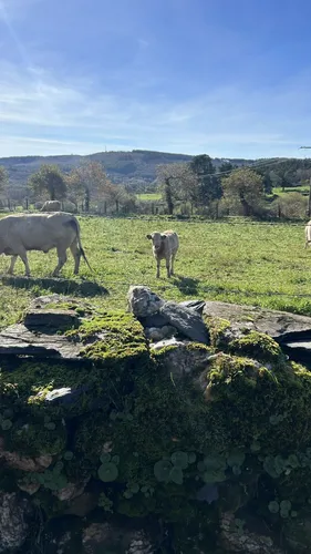 Best Historic Site Trails in Gonzar | AllTrails