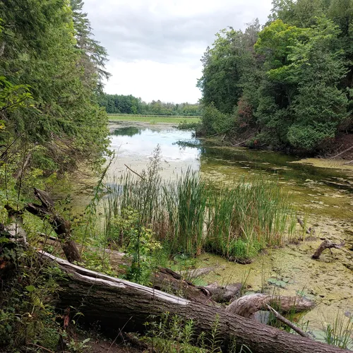 Best Hikes and Trails in Parrott's Bay Conservation Area | AllTrails