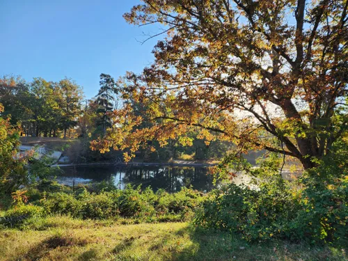 Best Hikes and Trails in Joseph Bryan Park | AllTrails