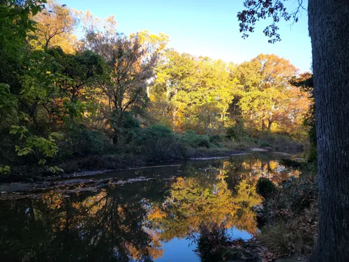 Best Hikes and Trails in Joseph Bryan Park | AllTrails