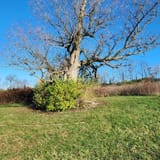 Hisle Park Trail, Kentucky - 296 Reviews, Map | AllTrails