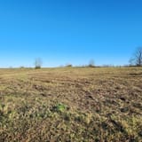 Hisle Park Trail, Kentucky - 296 Reviews, Map | AllTrails