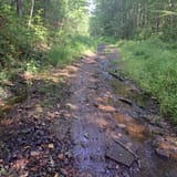 Southern New England Trunkline Trail, Massachusetts - 440 Reviews, Map ...