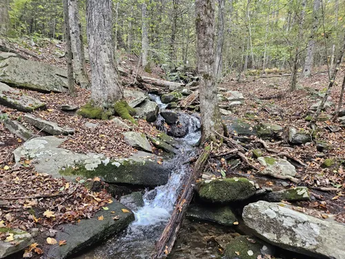 Best Hikes and Trails in Mine Hill Preserve | AllTrails