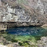 Blue Spring Trail, Missouri - 194 Reviews, Map | AllTrails