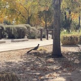 Alameda and Bachechi Open Space Walk, New Mexico - 160 Reviews, Map ...