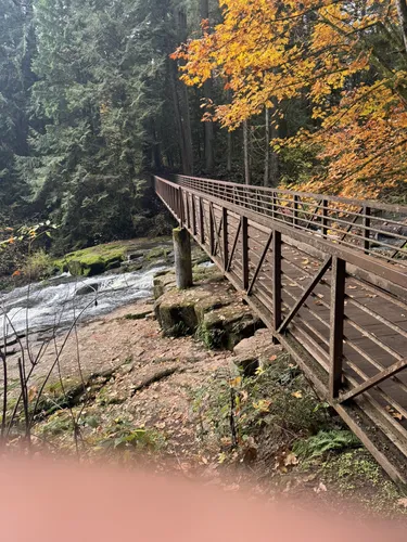 10 Best Trails and Hikes in Camas | AllTrails