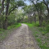Cibolo Creek Main Trail, Texas - 667 Reviews, Map | AllTrails