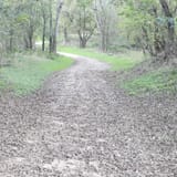 Cibolo Creek Main Trail, Texas - 667 Reviews, Map | AllTrails