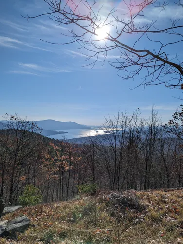 Best Hikes and Trails in Pole Hill Pond | AllTrails