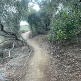 Red Butte, Yucca Point, and Razor Point Trail, California - 1,490 ...