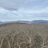 Mount Tremper Trail, New York - 1,454 Reviews, Map | AllTrails
