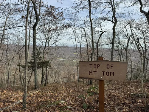 Best Hikes and Trails in Mount Tom Preserve | AllTrails