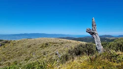 Best Hikes and Trails in Tunnel Gully Recreation Area | AllTrails