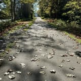 Centennial Trail, Washington - 854 Reviews, Map | AllTrails