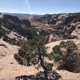 Church Rock Trail, New Mexico - 515 Reviews, Map | AllTrails