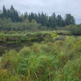 Lost '40' Trail, Minnesota - 182 Reviews, Map | AllTrails