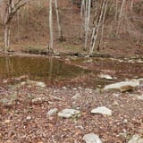 Window Cliffs Trail, Tennessee - 1,376 Reviews, Map | AllTrails