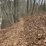 Bartram Trail: Wallace Branch to William's Pulpit, North Carolina ...